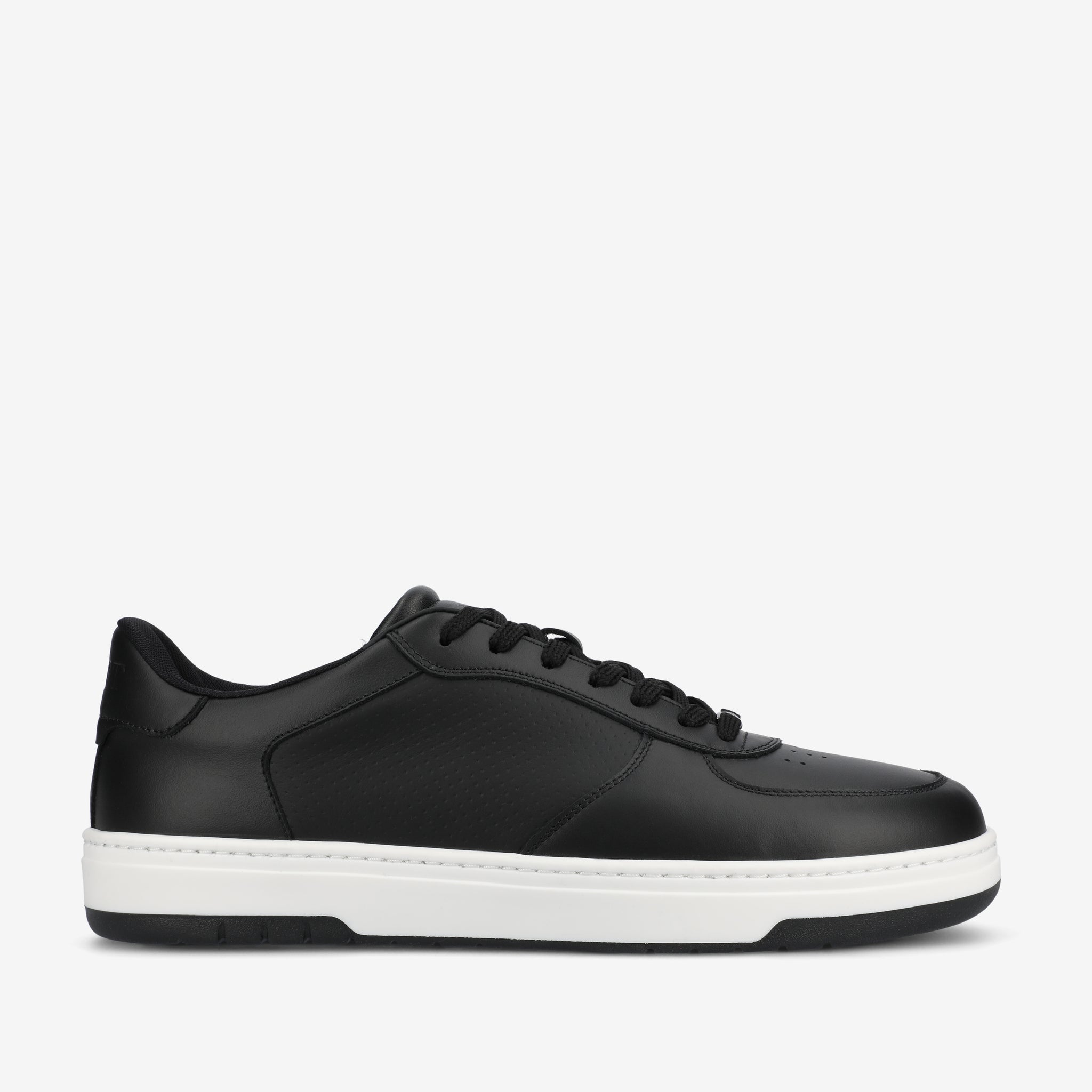 The Rapido Low-top Sneaker in Black